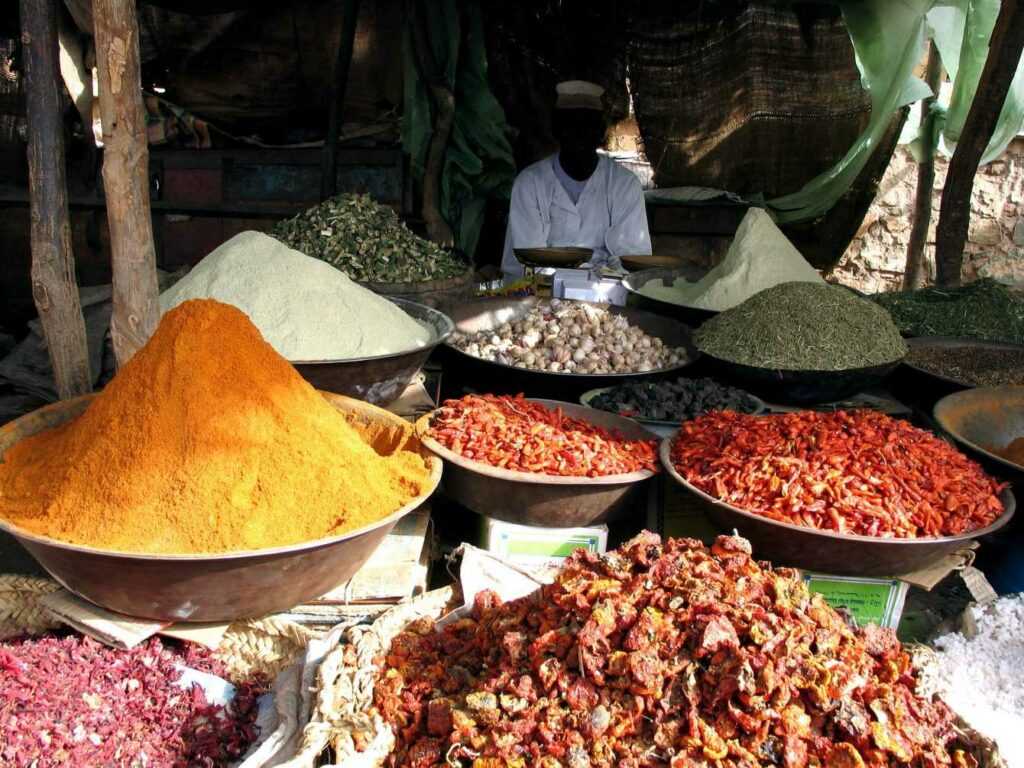 Spices: an ancient trade discovered from archeology