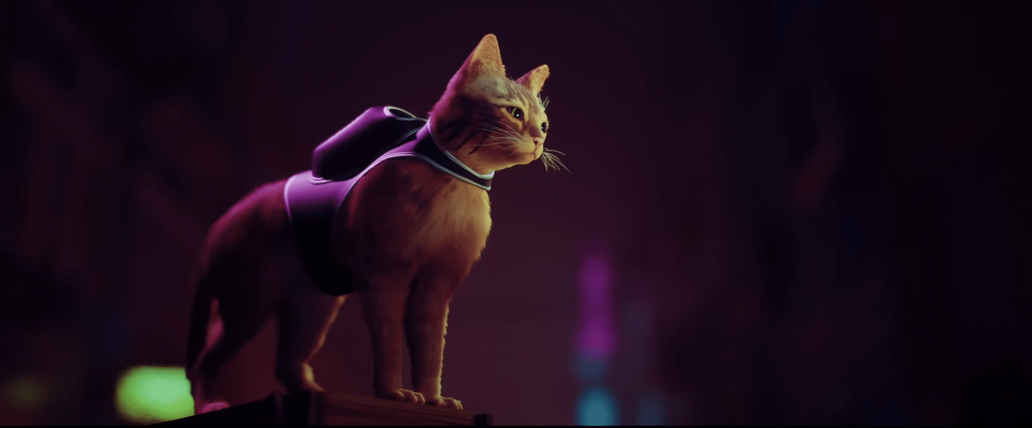 Postponed the release of Stray: the game about the cyberpunk cat will ...