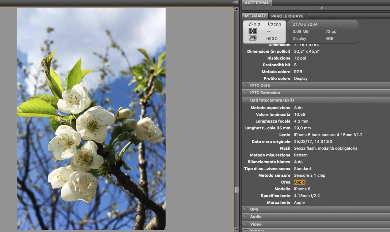 Editing EXIF Data: Top 5 Ways to Change Shooting Date and Time