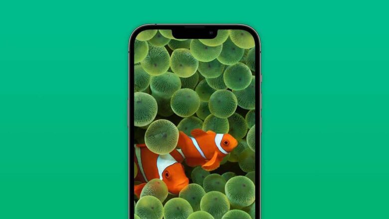 With iOS 16, the clownfish wallpaper returns