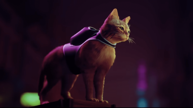 The physical edition of Stray is about to arrive: it will be released ...