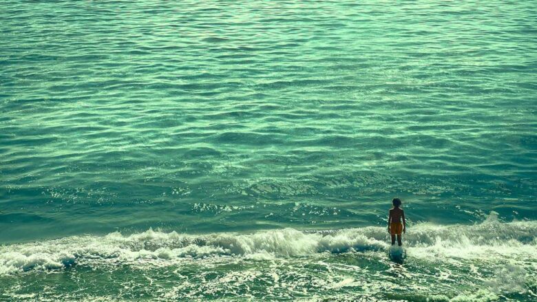 Shark Teeth: trailer and release date of the new film with Virginia ...
